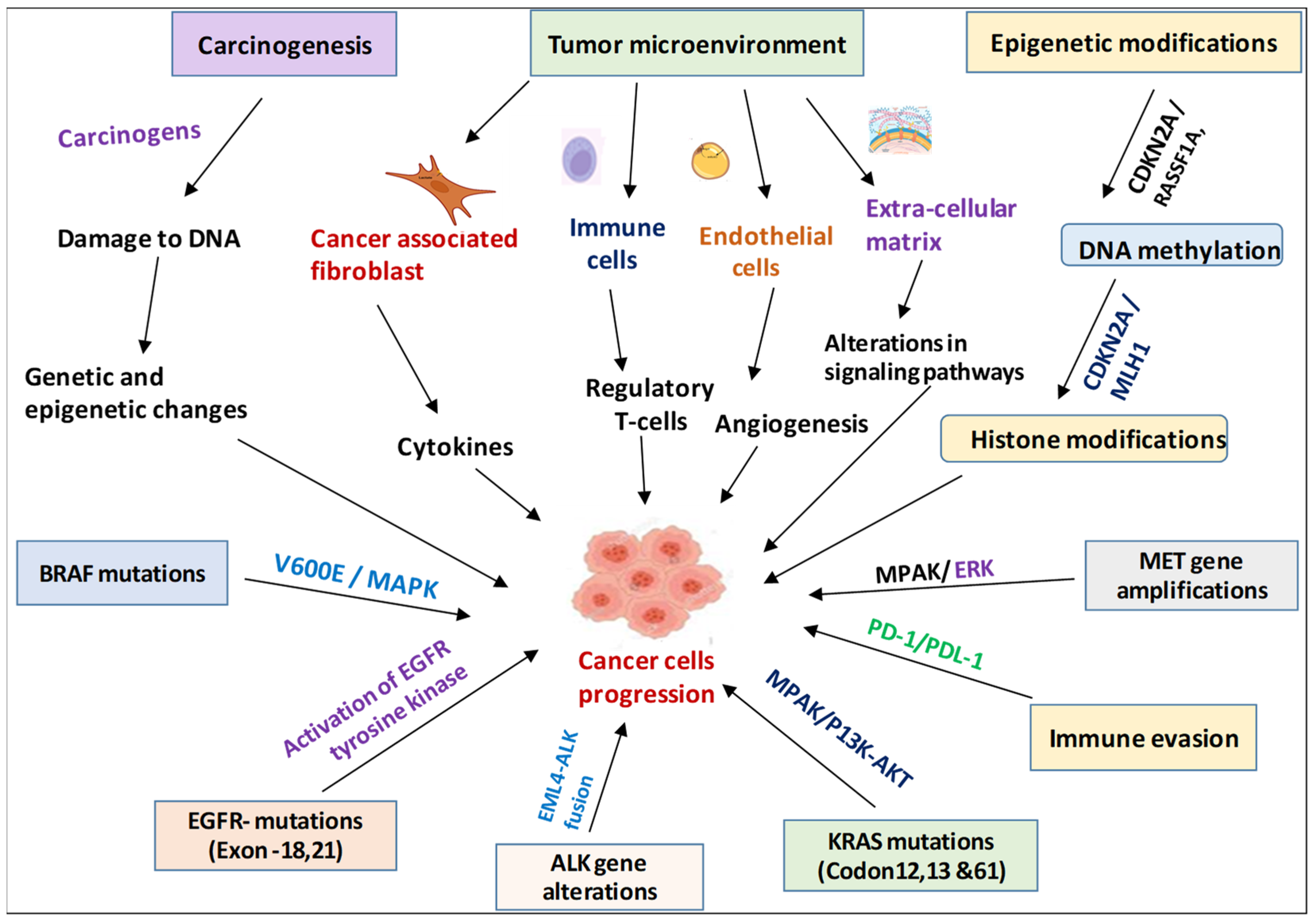 Advances in Non-Small Cell Lung Cancer: Current Insights and Future ...