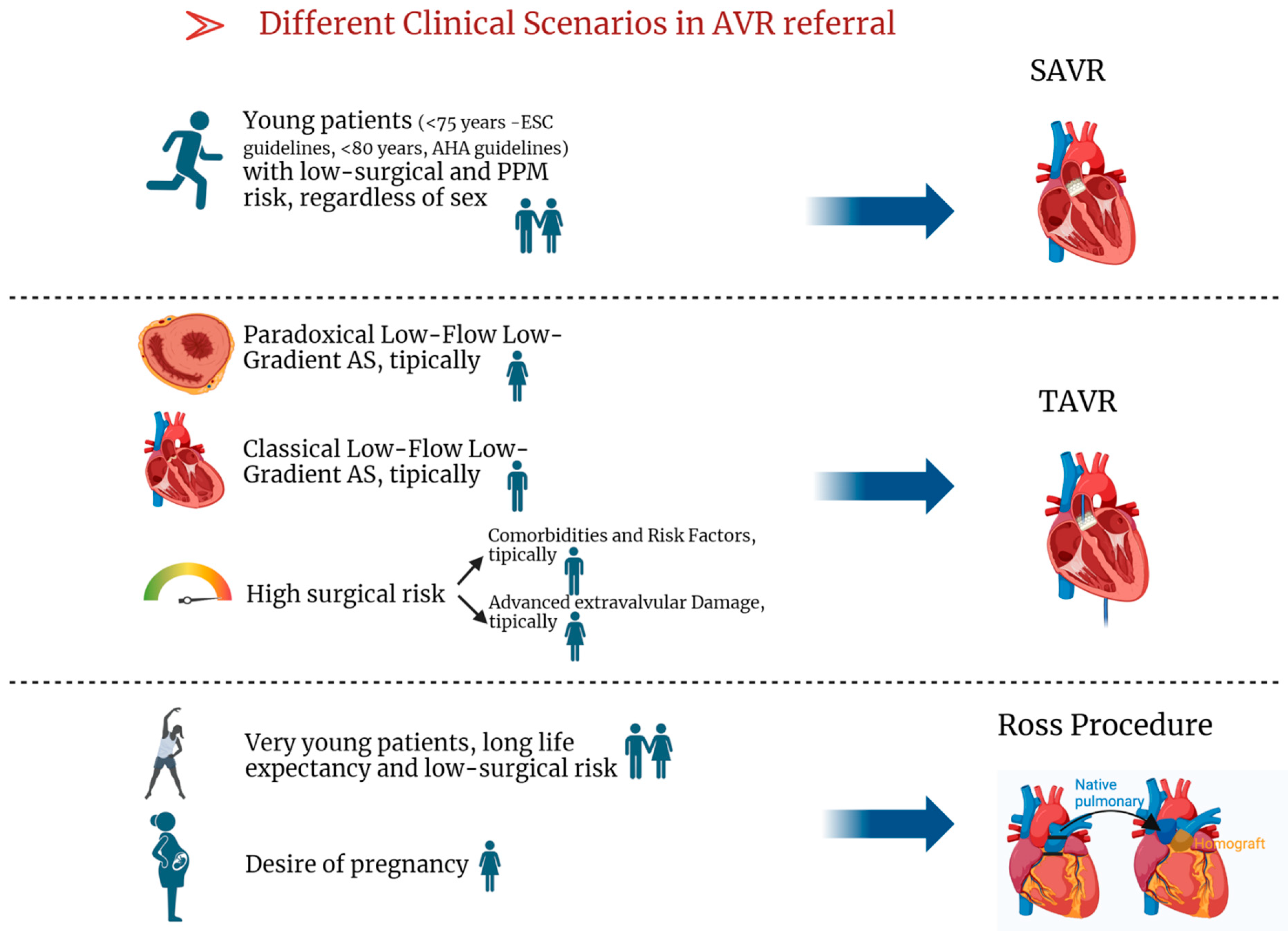 Jcm Free Full Text Sex Differences In Aortic Stenosis From The
