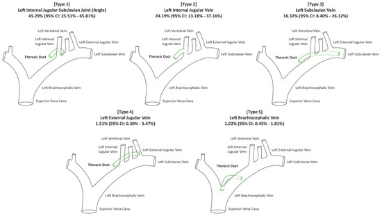 The Anatomy of the Thoracic Duct and Cisterna Chyli: A Meta-Analysis ...