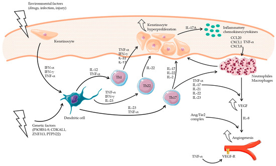 JCM | Free Full-Text | Psoriasis and Lupus Erythematosus—Similarities ...