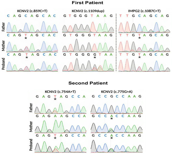 Novel and Previously Known Mutations of the KCNV2 Gene Cause Various ...