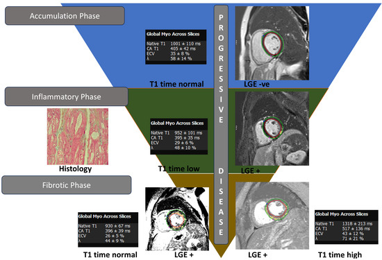 Contemporary Multimodality Imaging for Diagnosis and Management of ...