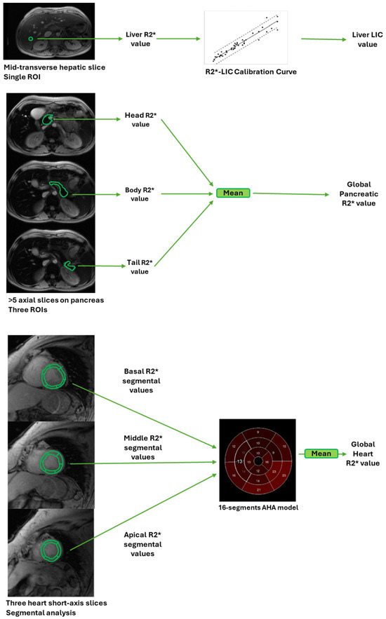 JCM | Free Full-Text | Magnetic Resonance Evaluation of Tissue Iron ...