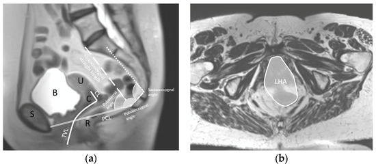 JCM | Free Full-Text | Explorative Identification of Anatomical ...