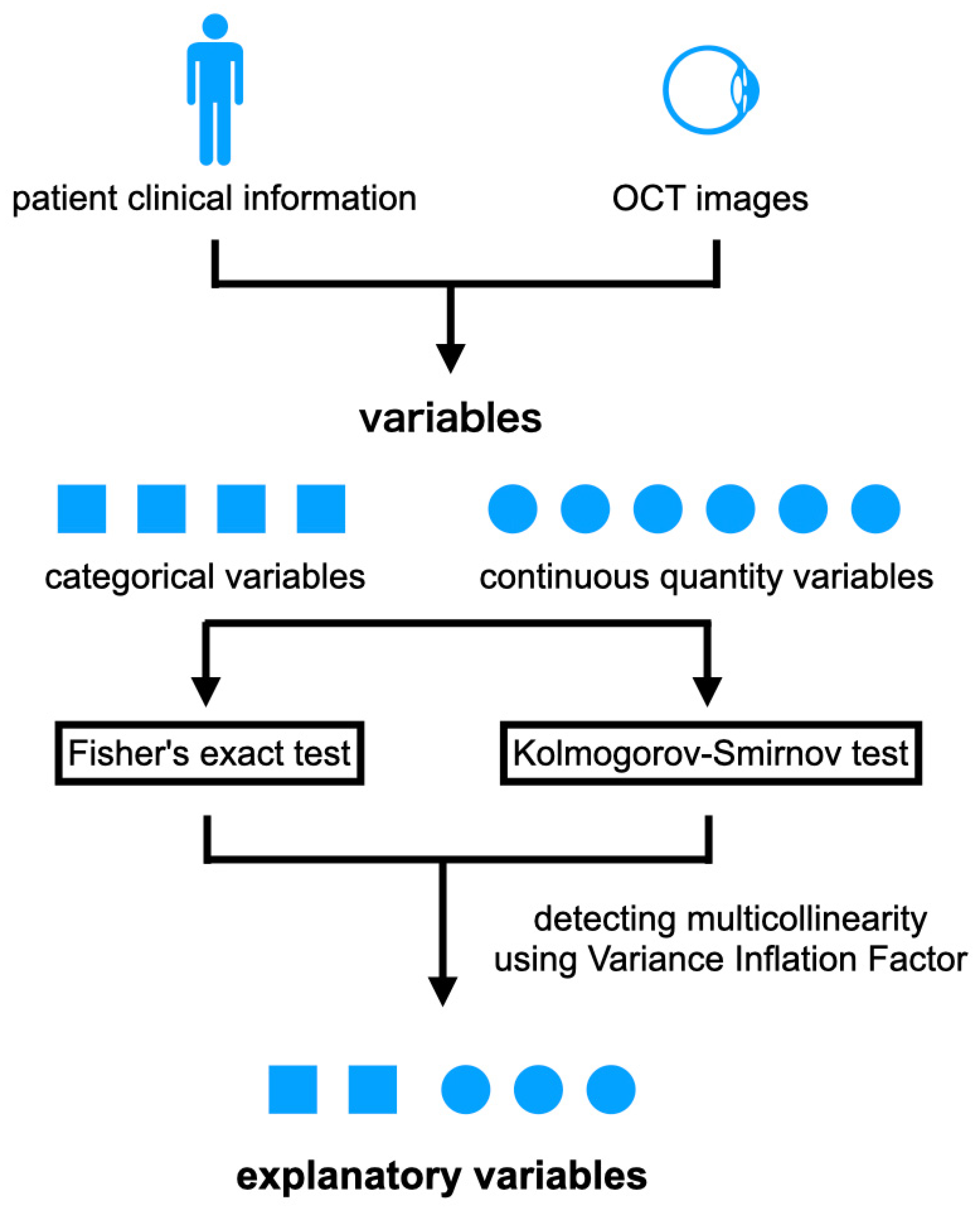 Preoperative OCT Characteristics Contributing to Prediction of ...