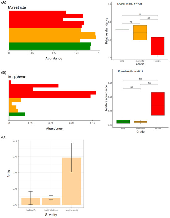 JCM | Free Full-Text | Bacteria, Fungi, and Scalp Psoriasis ...