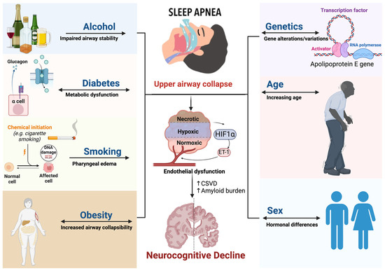 Sleep Disordered Breathing and Neurocognitive Disorders