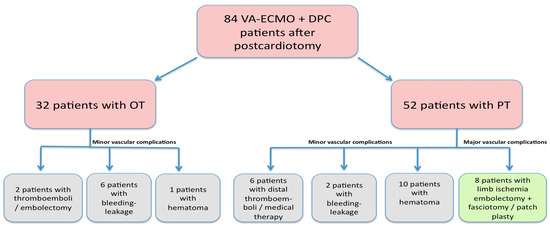 JCM | Free Full-Text | Vascular Complications in Patients with ECMO ...