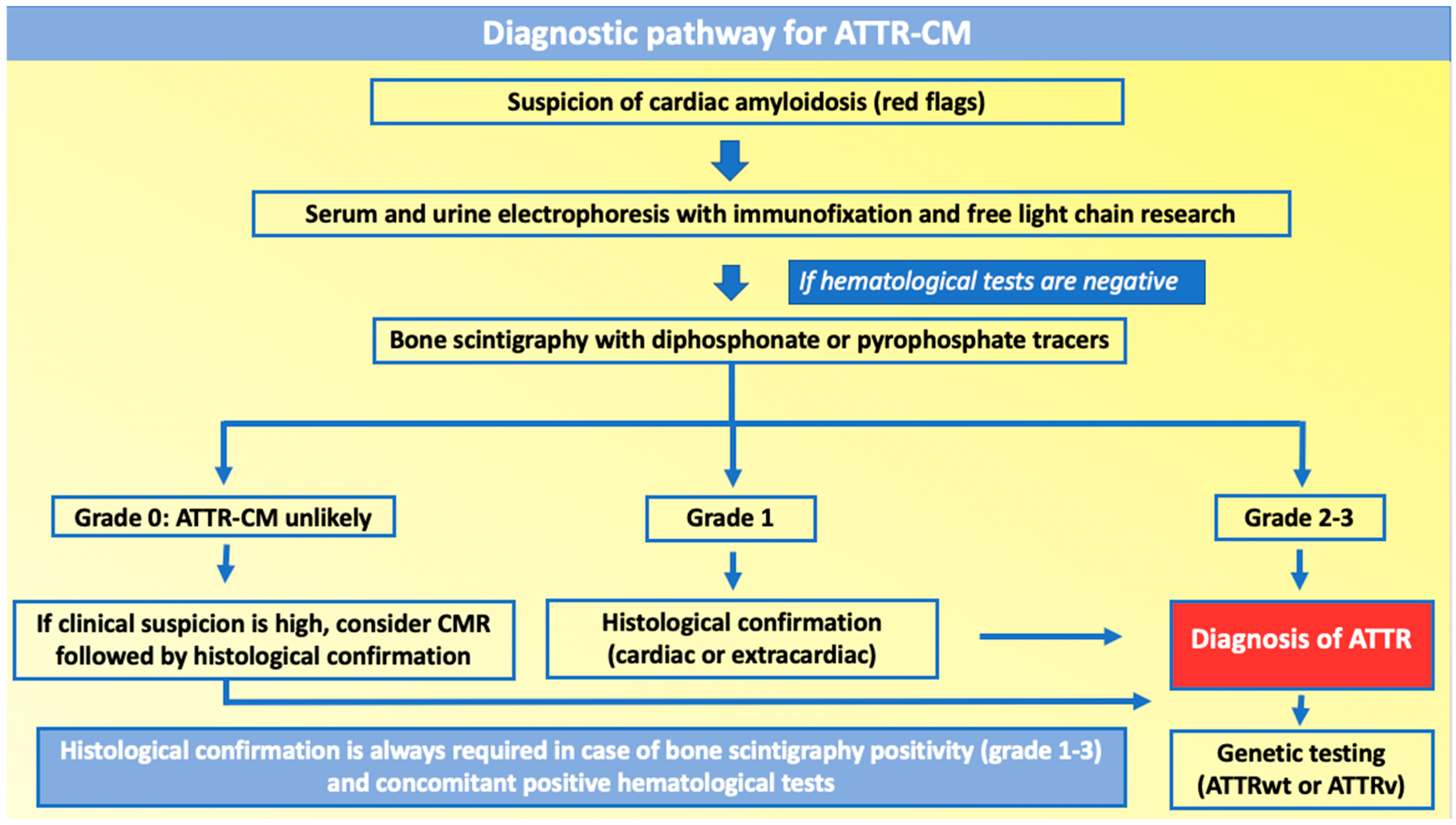 Epidemiological Changes in Transthyretin Cardiac Amyloidosis: Evidence ...