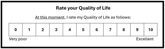 Single-Item Assessment of Quality of Life: Associations with Well-Being ...