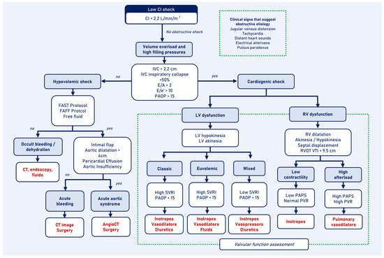 Critical Care Ultrasound in Shock: A Comprehensive Review of Ultrasound ...
