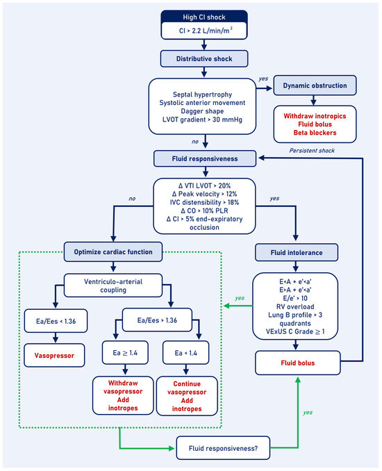 Critical Care Ultrasound in Shock: A Comprehensive Review of Ultrasound ...