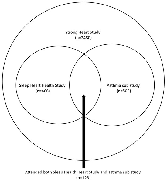 Asthma and Obstructive Sleep Apnea Overlap in a Sample of Older ...