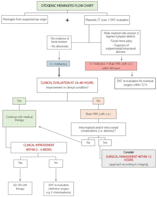 Management of Otogenic Meningitis: A Proposal for Practical Guidelines ...