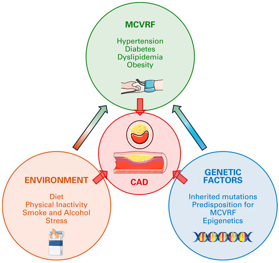 Coronary Artery Disease, Family History, and Screening Perspectives: An ...