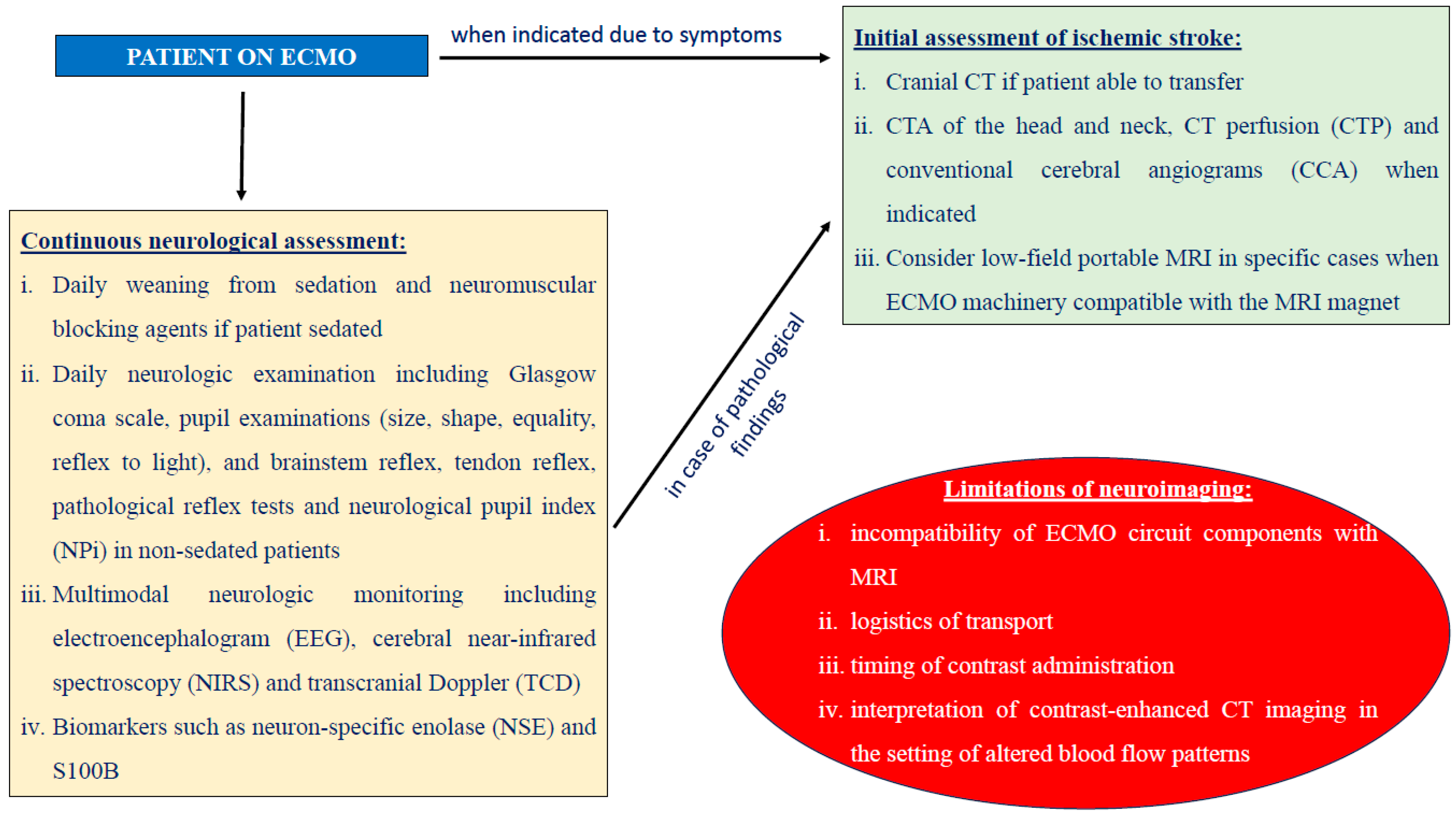 Acute Ischemic Stroke during Extracorporeal Membrane Oxygenation (ECMO ...