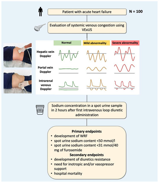 Venous Excess Ultrasound Score Is Associated with Worsening Renal ...