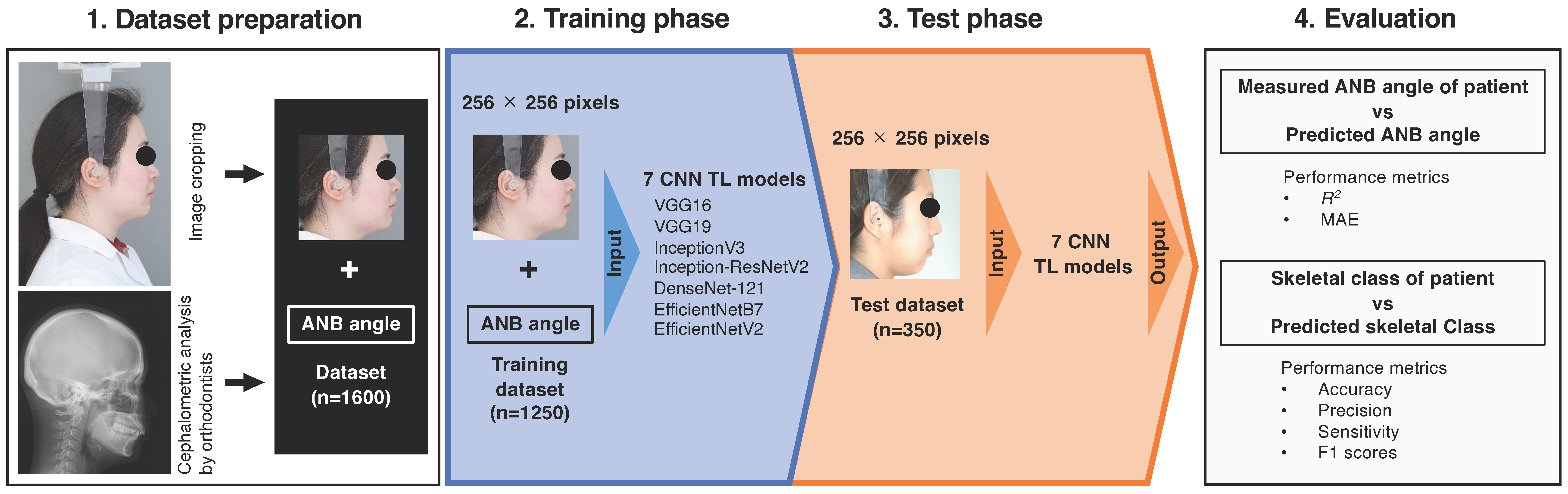 Prediction of a Cephalometric Parameter and Skeletal Patterns from Lateral Profile Photographs ...