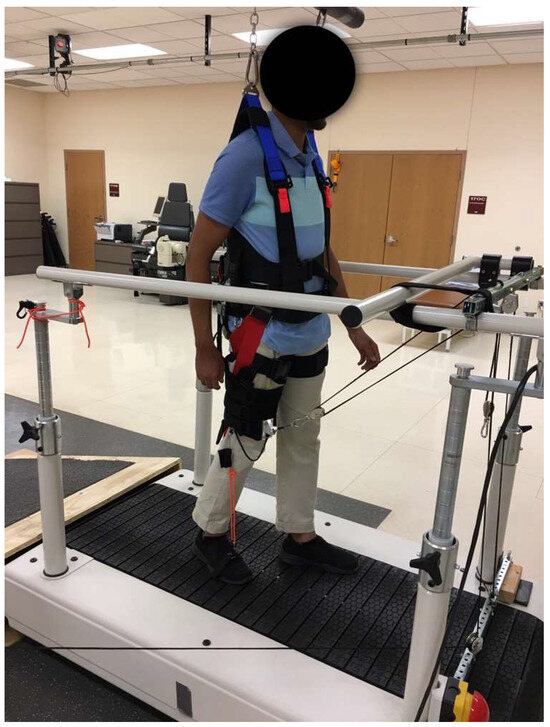 Evaluating Biomarkers of Bone Health After an 8-Week Walking Program in ...