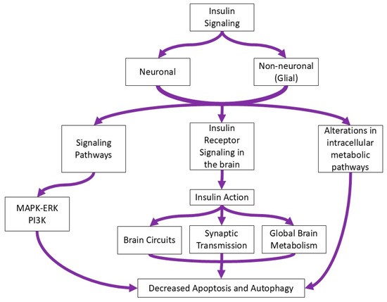 Role of Peripheral and Central Insulin Resistance in Neuropsychiatric ...