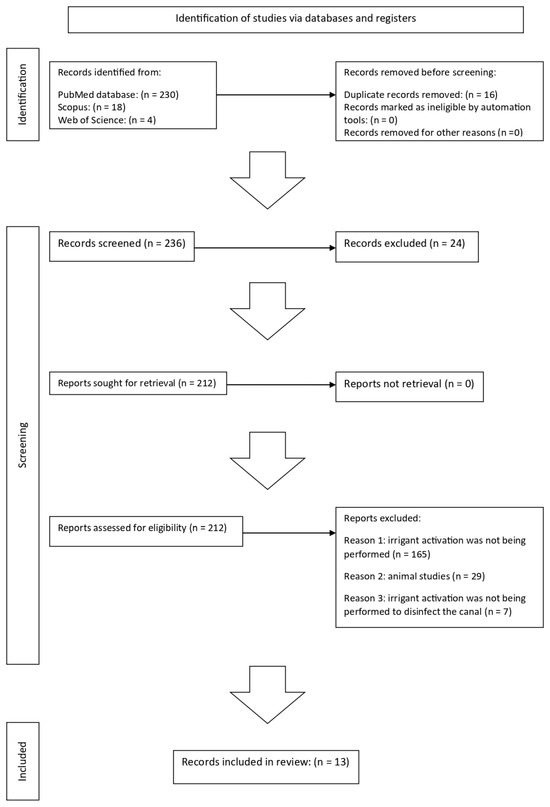 Activation of Irrigants in Root Canals with Open Apices: A Narrative Review
