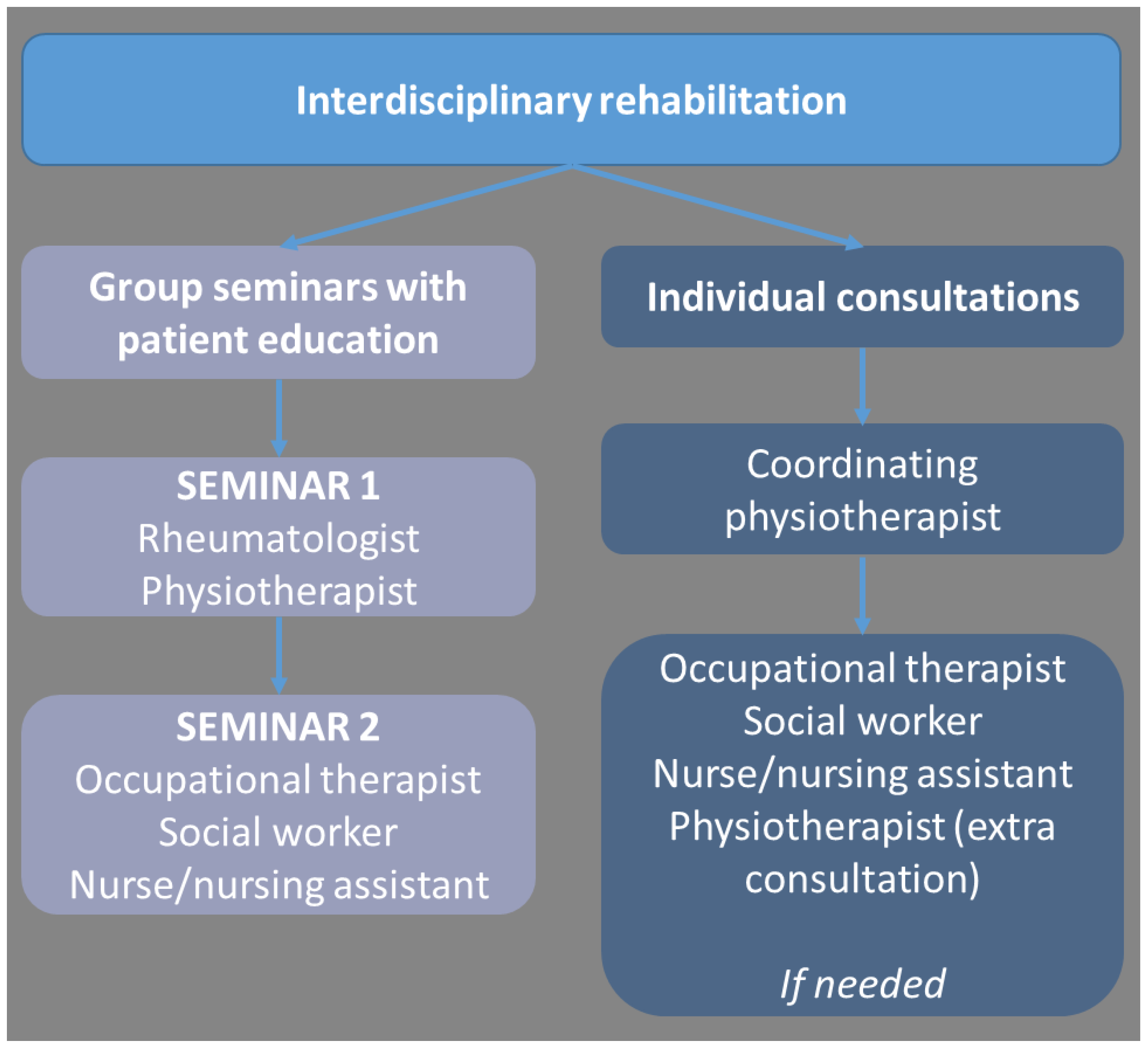 Development of a Physiotherapist-Coordinated Interdisciplinary ...