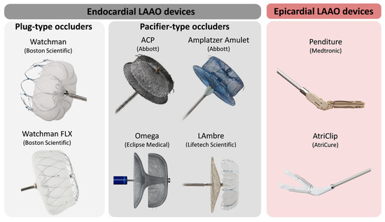 Advancements in 3D Transoesophageal Echocardiography (TOE) and Computed ...