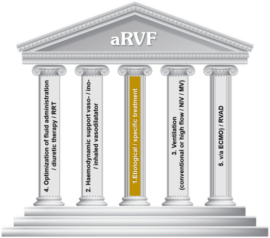 The Five Pillars of Acute Right Ventricular Heart Failure Therapy: Can ...