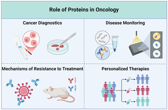 Role of Proteins in Oncology: Advances in Cancer Diagnosis, Prognosis ...
