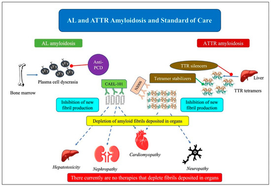 Amyloids and the Heart: An Update