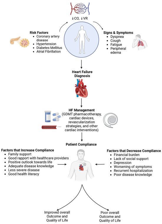 Heart Failure Beyond the Diagnosis: A Narrative Review of Patients ...