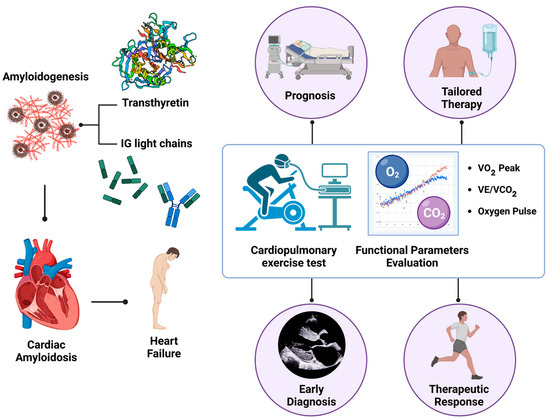 Advancing Cardiac Amyloidosis Care Through Insights from ...