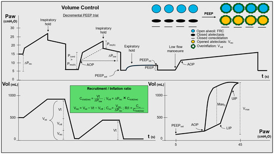 Bedside Assessment of the Respiratory System During Invasive Mechanical ...