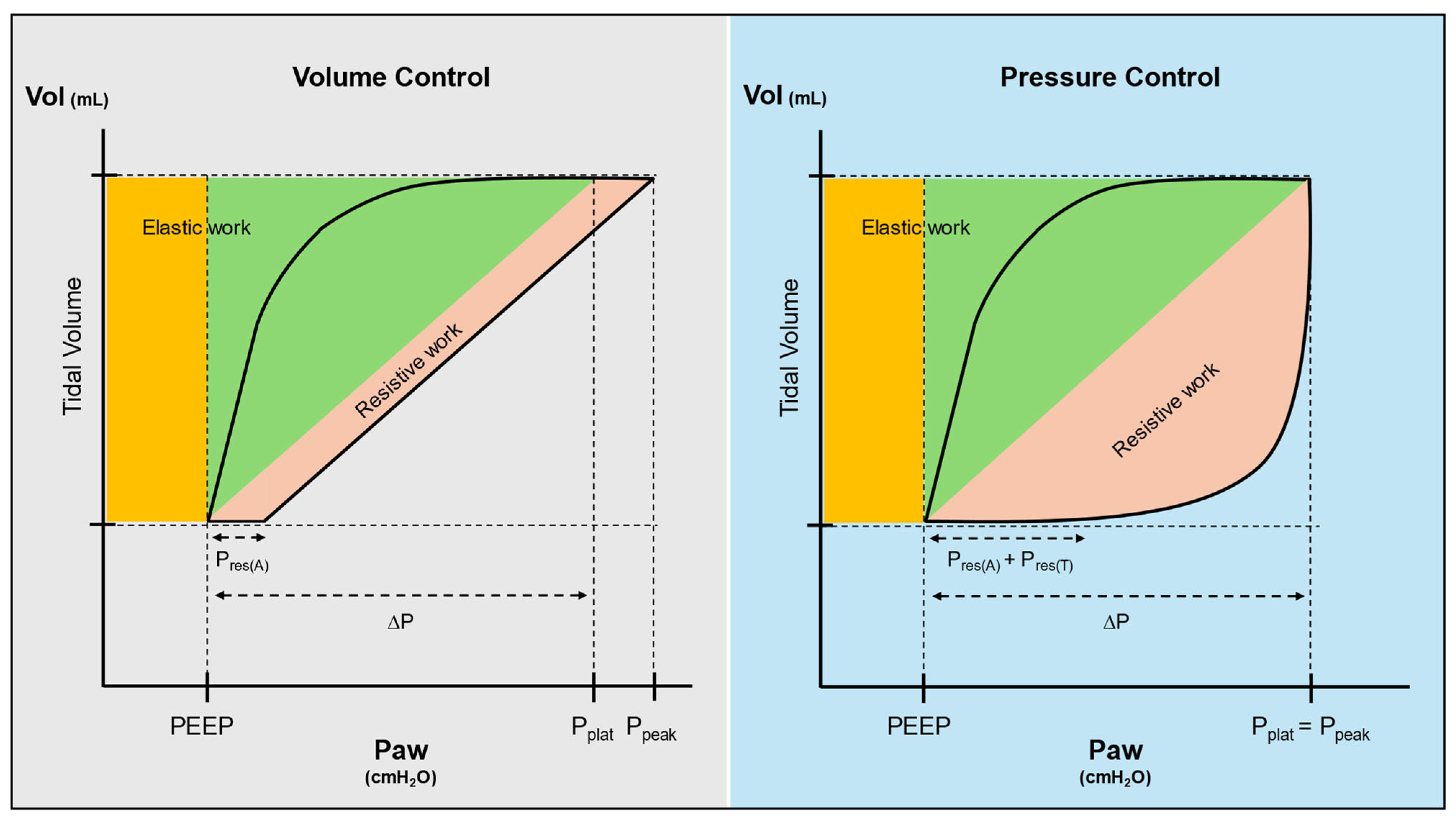 Bedside Assessment of the Respiratory System During Invasive Mechanical Ventilation
