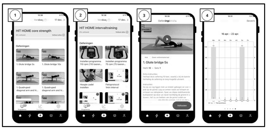 High-Intensity Training Telerehabilitation for Persons with Chronic Low ...