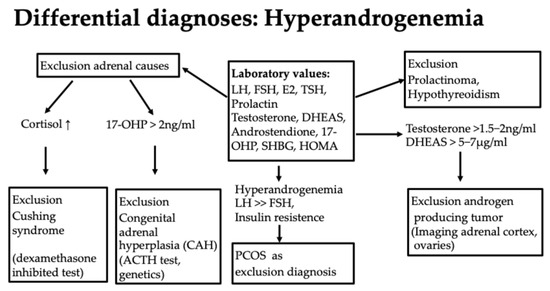 Menstrual Disorders in Adolescence: Diagnostic and Therapeutic Challenges