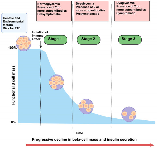 Pre-Type 1 Diabetes in Adolescents and Teens: Screening, Nutritional ...