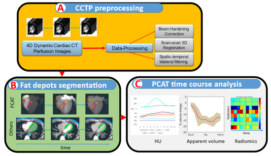 Cardiac CT Perfusion Imaging of Pericoronary Adipose Tissue (PCAT ...