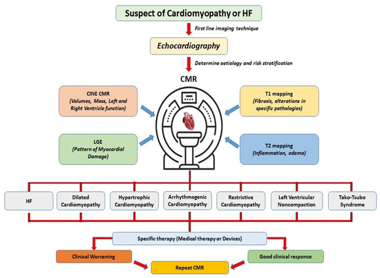 Advancing Cardiovascular Diagnostics: The Expanding Role of CMR in ...