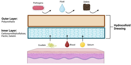 Narrative Review of the Use of Hydrocolloids in Dermatology ...