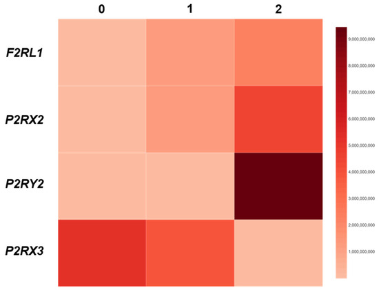 The Expression of F2RL1, P2RX2, P2RX3 and P2RY2 in the Esophagus of ...