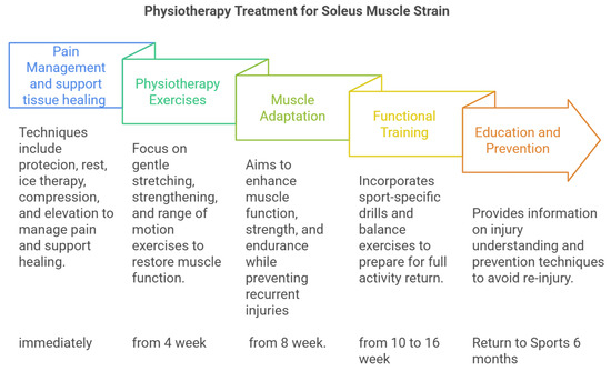 Problems in Diagnosis and Treatment of Soleus Muscle Injuries—Narrative ...