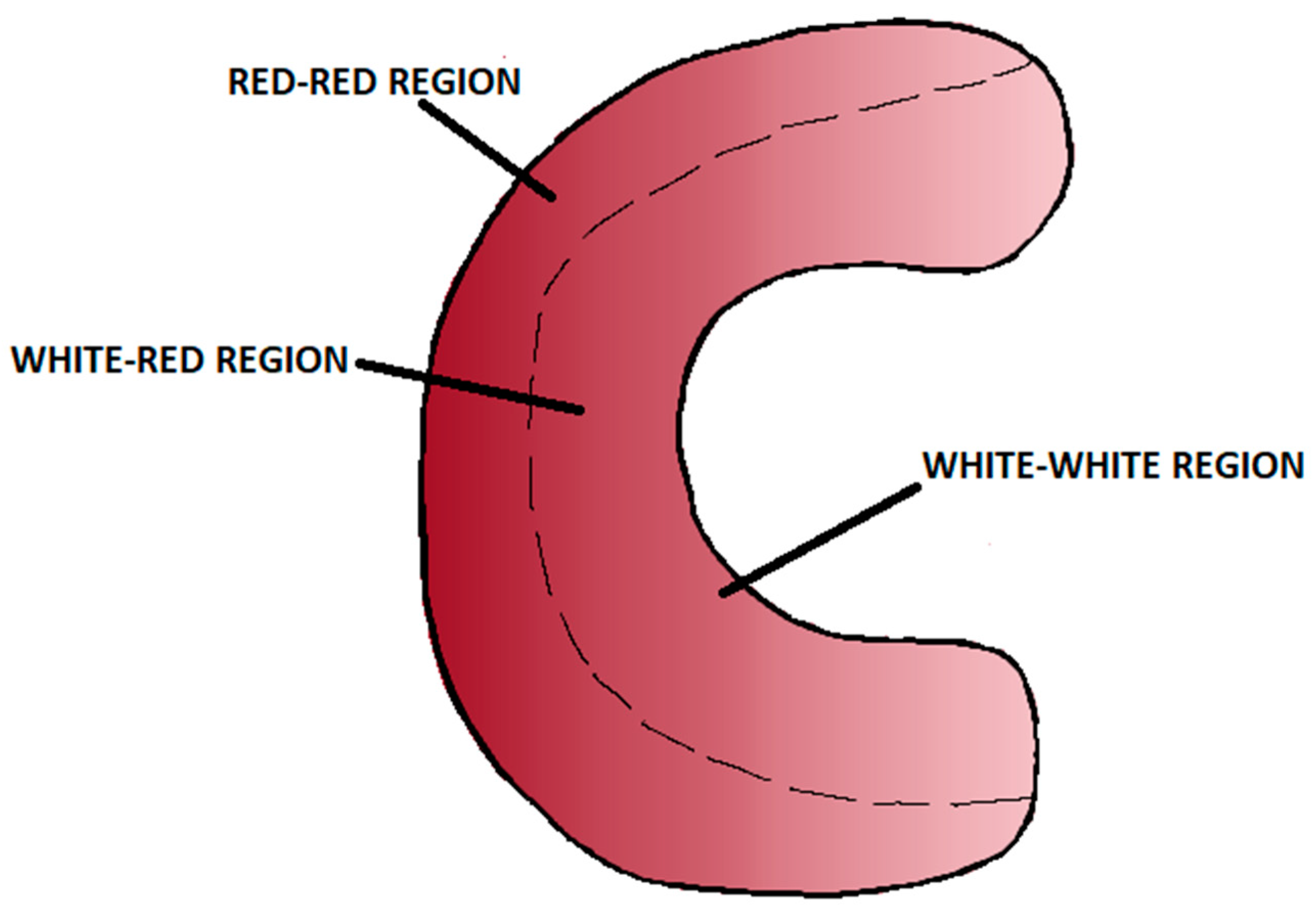 The Meniscus: Basic Science and Therapeutic Approaches