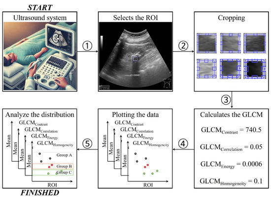 Quantitative Evaluation of Kidney and Gallbladder Stones by Texture ...