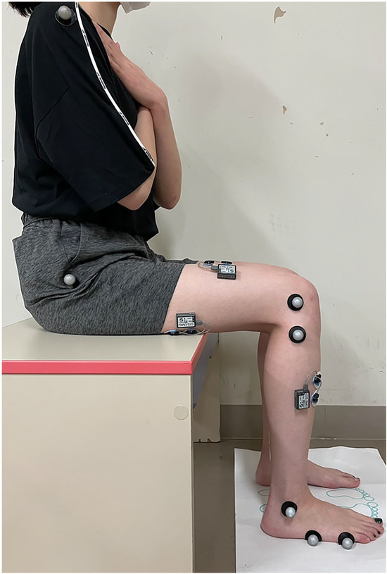 Comparing Electromyographic Muscle Activities and Kinematics During Sit ...