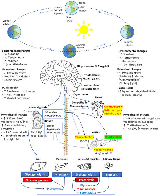 Impact of the Circadian Rhythm and Seasonal Changes on the Outcome of ...