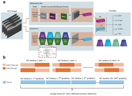 Comparing Auto-Machine Learning and Expert-Designed Models in ...