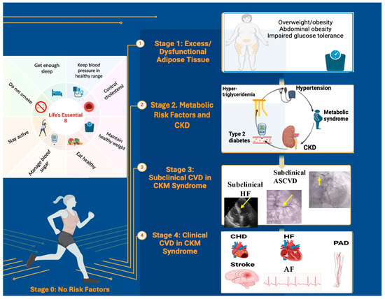 Cardiovascular–Kidney–Metabolic Syndrome: A New Paradigm in Clinical ...