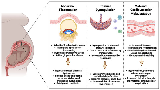 Prevention of Pre-Eclampsia: Modern Strategies and the Role of Early ...