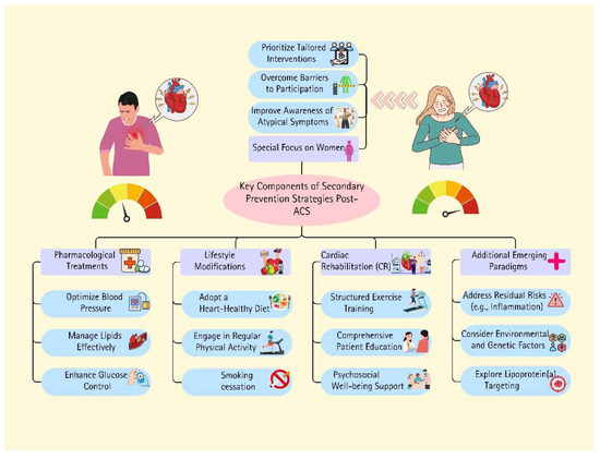 Secondary Prevention After Acute Coronary Syndromes in Women: Tailored ...